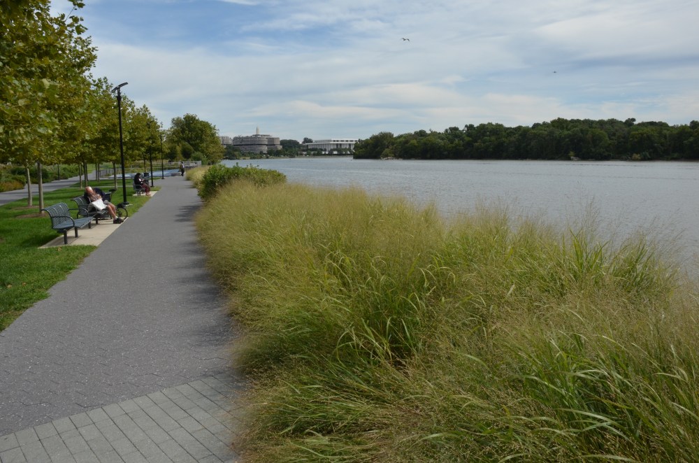 Our Fantastic Waterfront Park is Complete | The Georgetown Metropolitan