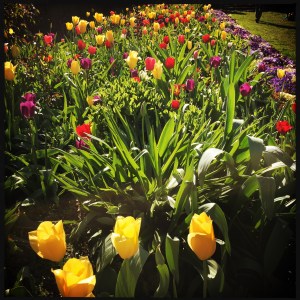 The Georgetown Metropolitan | News, Information, and Events for the ...