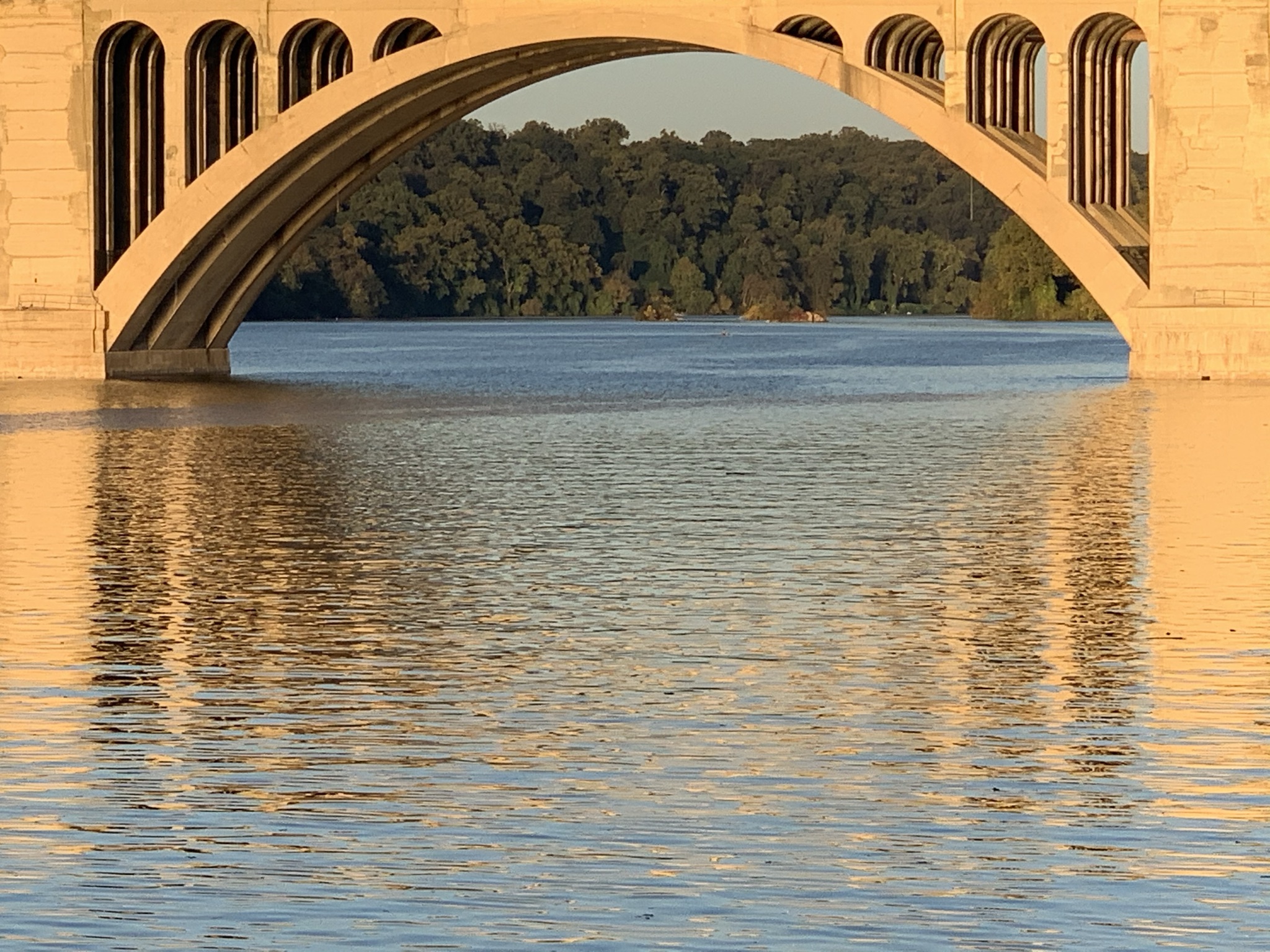 The Georgetown Metropolis | The Georgetown Metropolitan