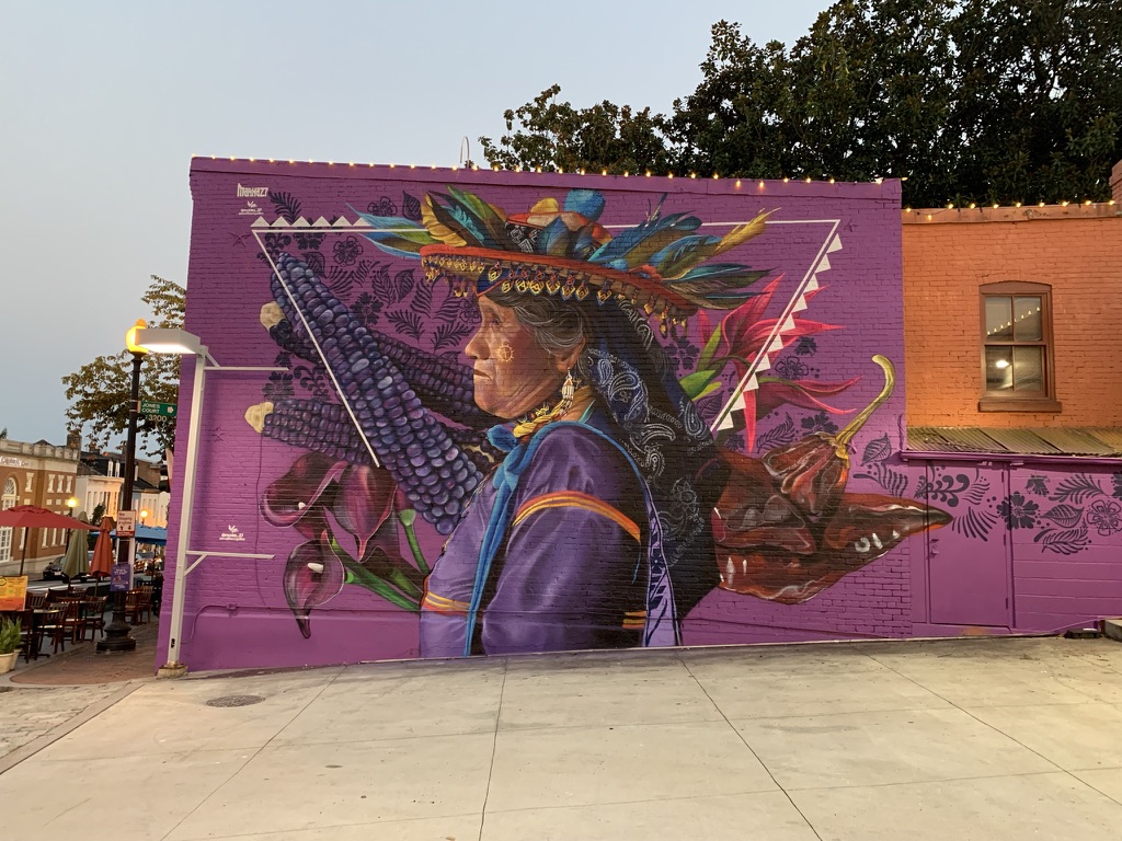 New Mural Honors Indigenous Culture | The Georgetown Metropolitan